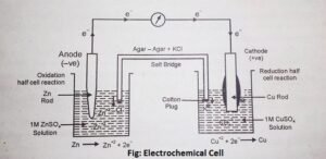 Electrochemical Cell & Functions of Salt Bridge | Important