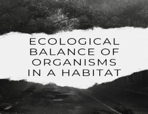 Ecological Balance Of Organisms In A Habitat | Important