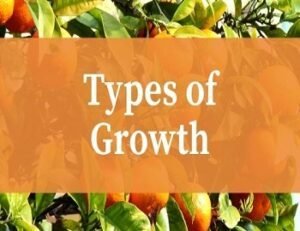 What is Growth? Types of Growth | Important