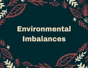 Environmental Imbalances- Important Factors and Remedies