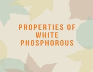 Properties of White Phosphorous | Important Uses