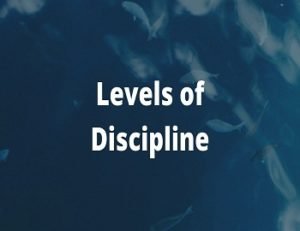 Levels of Discipline | Important