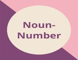 Noun-Number in English Grammar | Important