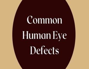Common Human Eye Defects & Corrective Measures | Important
