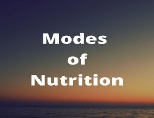 Modes of Nutrition- Autotrophic and Heterotrophic Nutrition