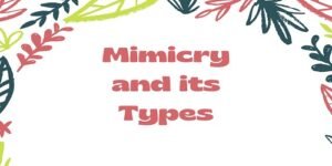 Mimicry and its Types | Important