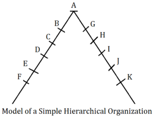 Principle of Hierarchy or The Scalar Process
