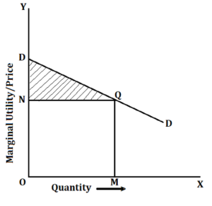 Consumer Surplus | Important concept